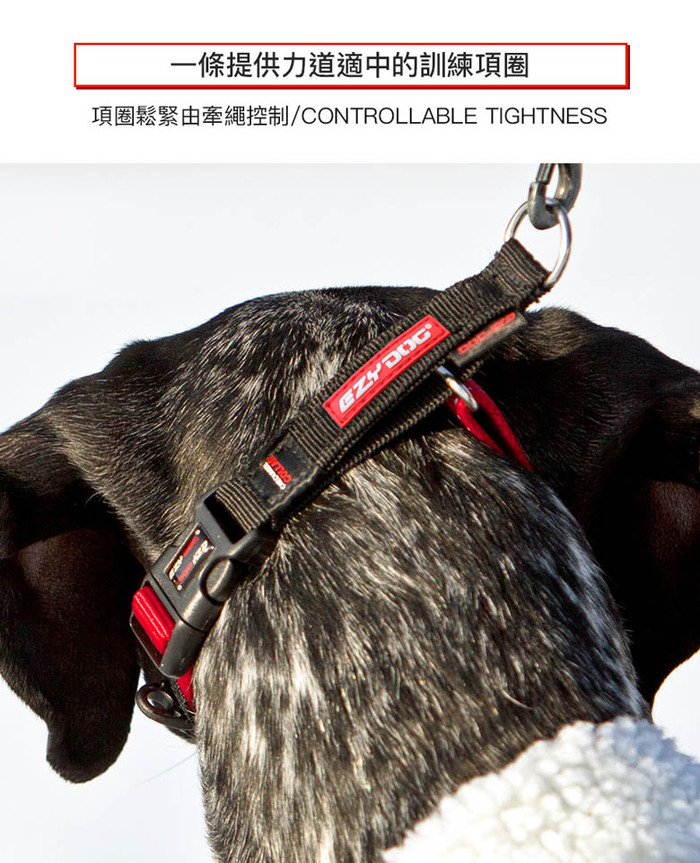 澳洲EZYDOG｜訓練項圈 L | 有.設計 uDesign
