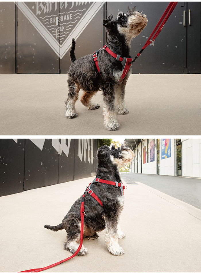 EZYDOG｜X減壓胸背帶-XL | 有.設計 uDesign